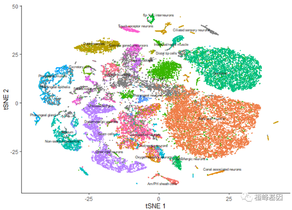 SCS【7】单细胞转录组之轨迹分析 (Monocle 3) 聚类、分类和计数细胞 - 知乎