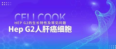 赛库细胞学堂|Hep G2人肝癌细胞的生长特性及常见问题 - 知乎
