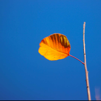 PyQt5提示QFSFileEngine::open: No file name specified - 知乎