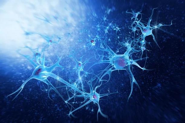 国际论文期刊:NATURE REVIEWS NEUROSCIENCE - 知乎