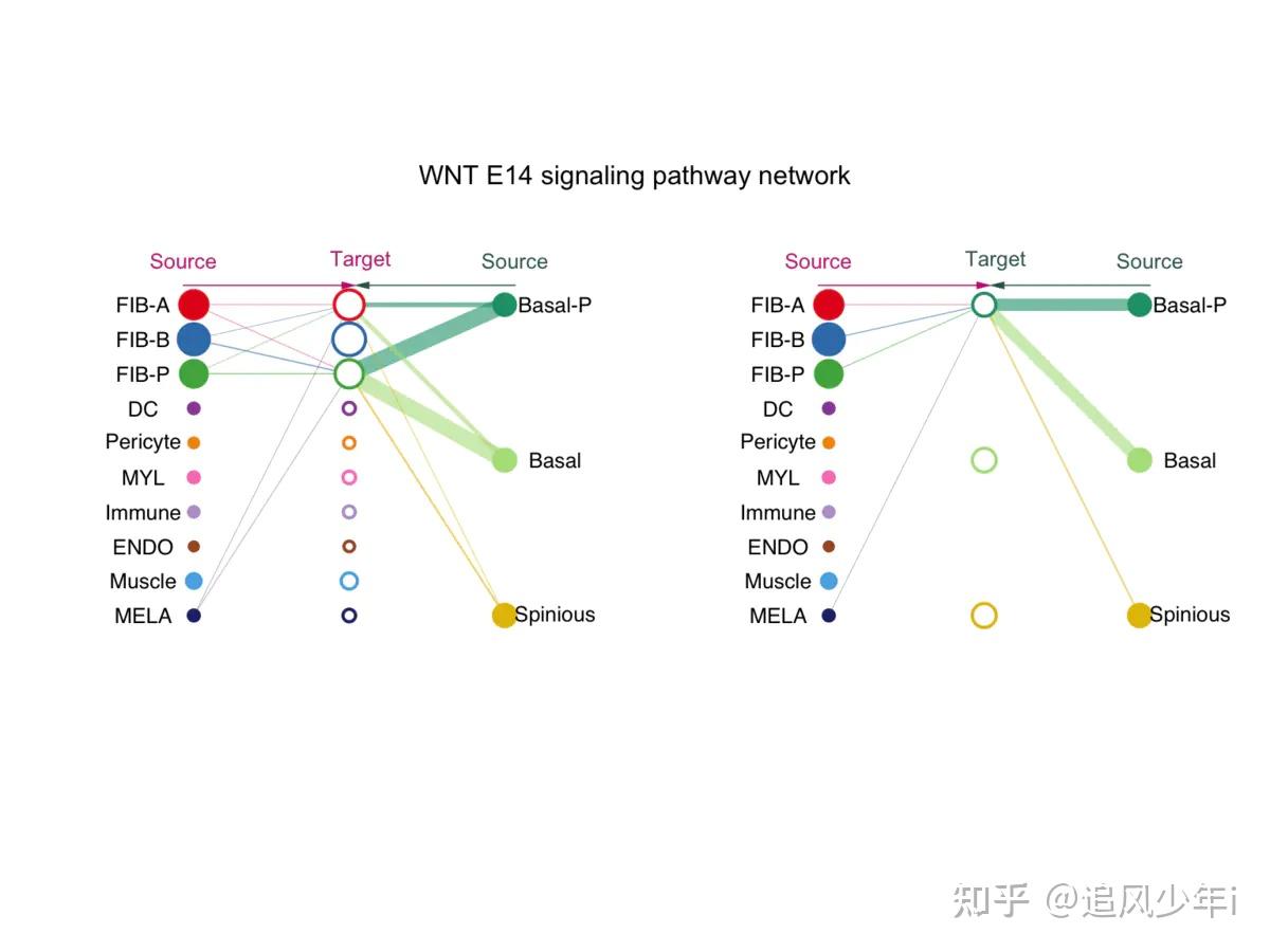 单细胞个性化分析之多样本细胞通讯比较篇 知乎 