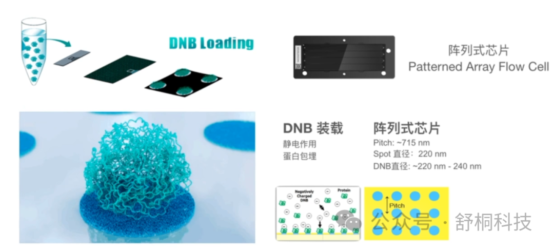 技术介绍 | MGI测序原理 - 知乎