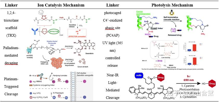 ADC中可裂解Linker的机制汇总 - 知乎