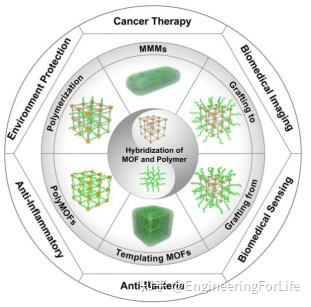 《Adv. Mater》综述：金属有机框架与聚合物的相遇 - 知乎