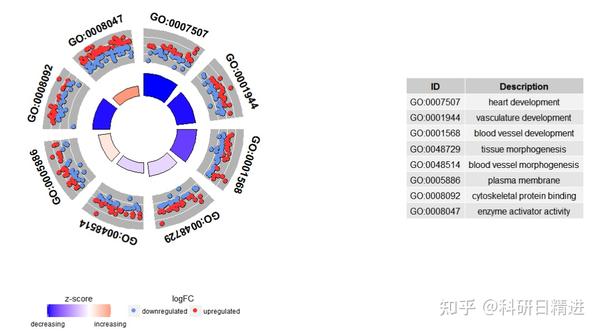 如何使用GOplot画一张精美的GO分析图 - 知乎