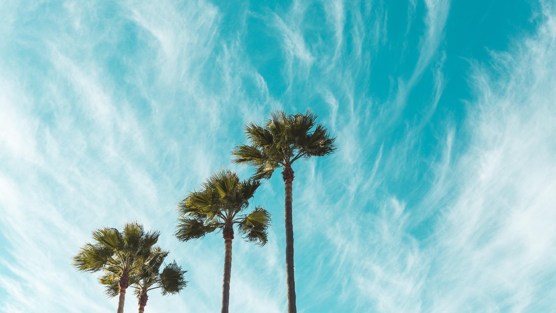 分享一些珍藏多年的高清4K壁纸 - 知乎