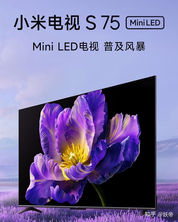 5k预算618必入MiniLED电视推荐|内含海信电视E5N Pro及小米S深度测评！