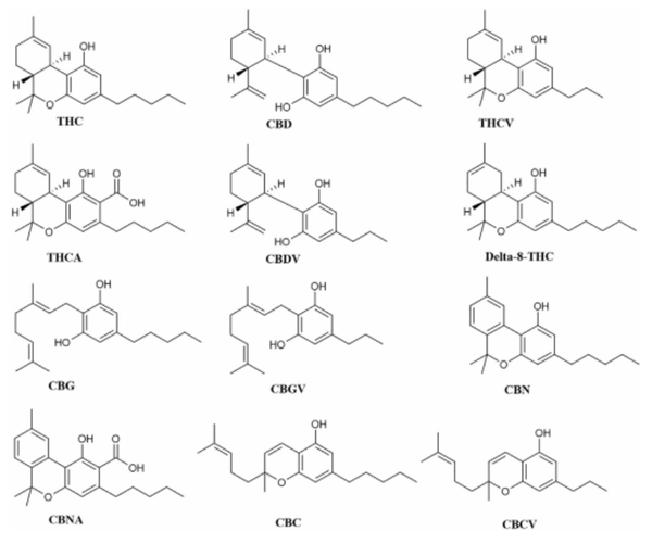 老靶点开拓减肥新方向，大麻素受体CB1/CB2的机遇与挑战！ - 知乎