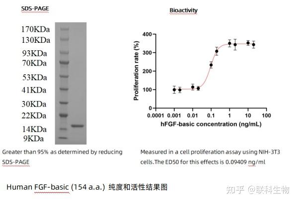 FGF basic/FGF2/bFGF：细胞培养中必不可少的生长因子 - 知乎