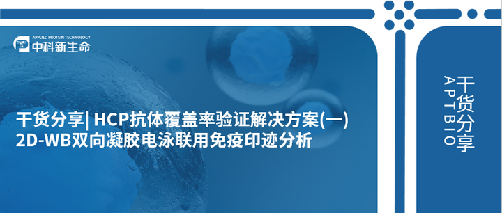HCP抗体覆盖率验证解决方案(一)2D-WB双向凝胶电泳联用免疫印迹分析 - 知乎