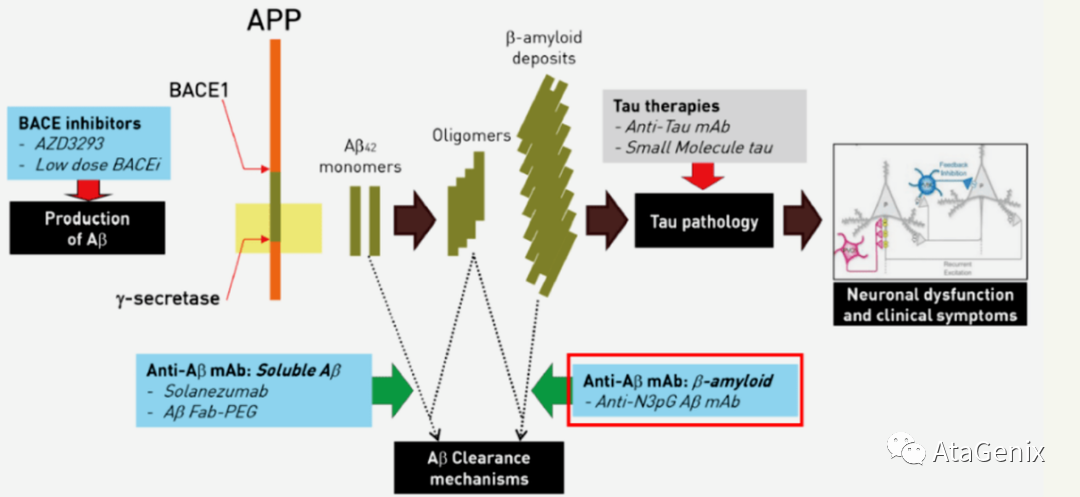 Donanemab、Lecanemab——能否拯救困在时间里的父亲 - 知乎
