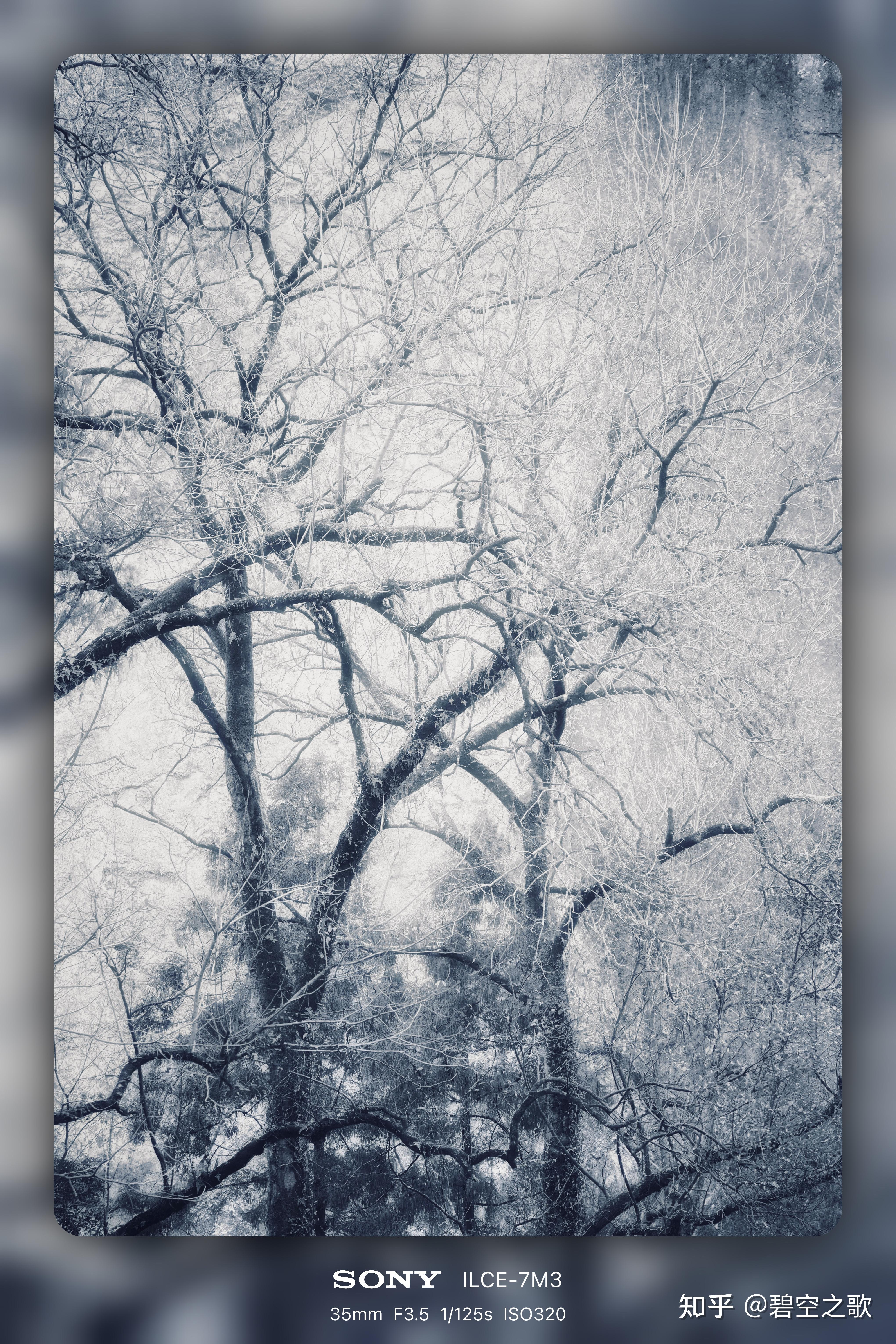 在2025年的今天买a7m3会不会有点过时呢，还是买a7c2呢？ - 知乎