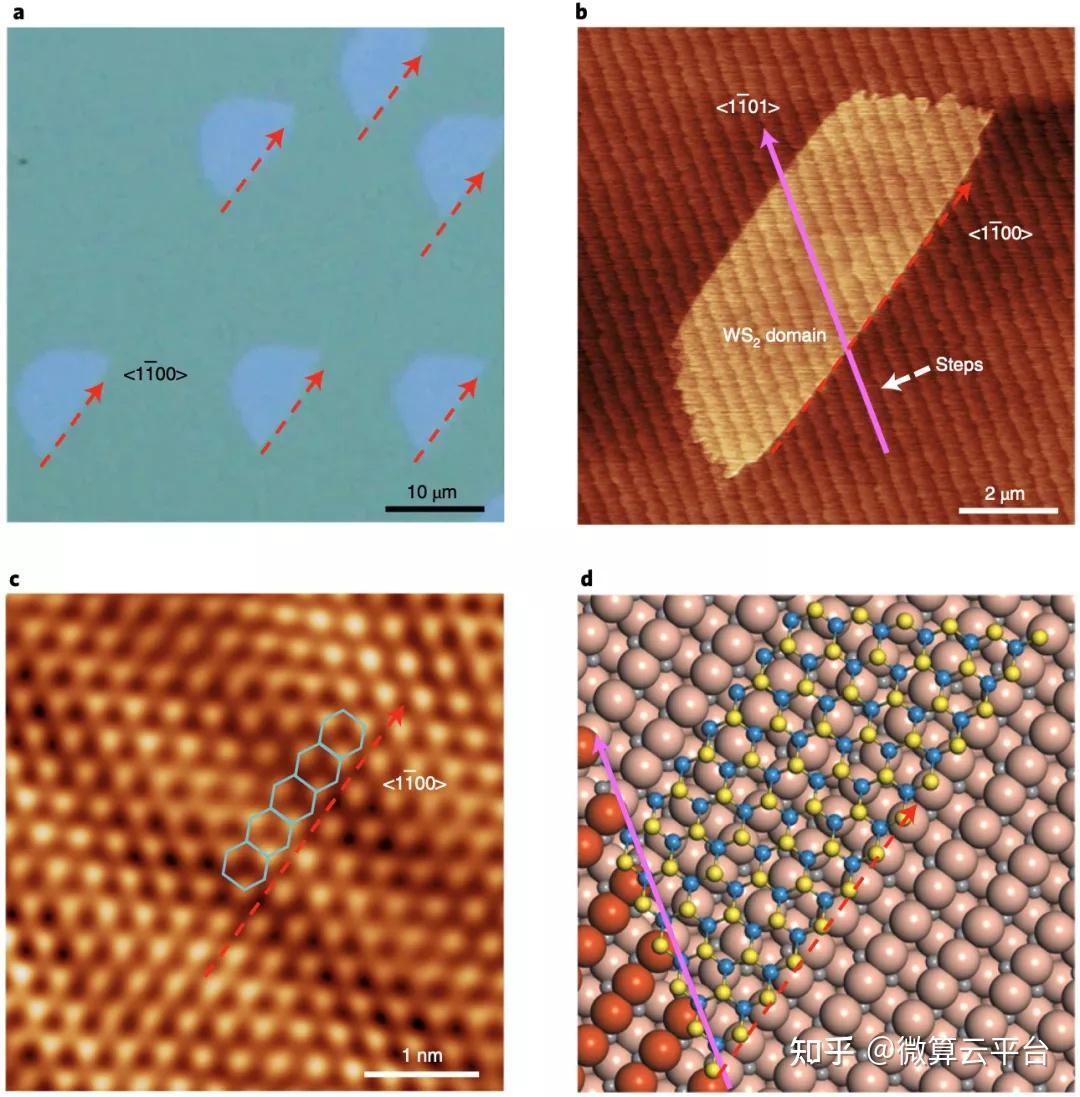 突破！北京大学Nature Nanotech.首次实现晶圆尺寸的单晶TMD生长！ - 知乎
