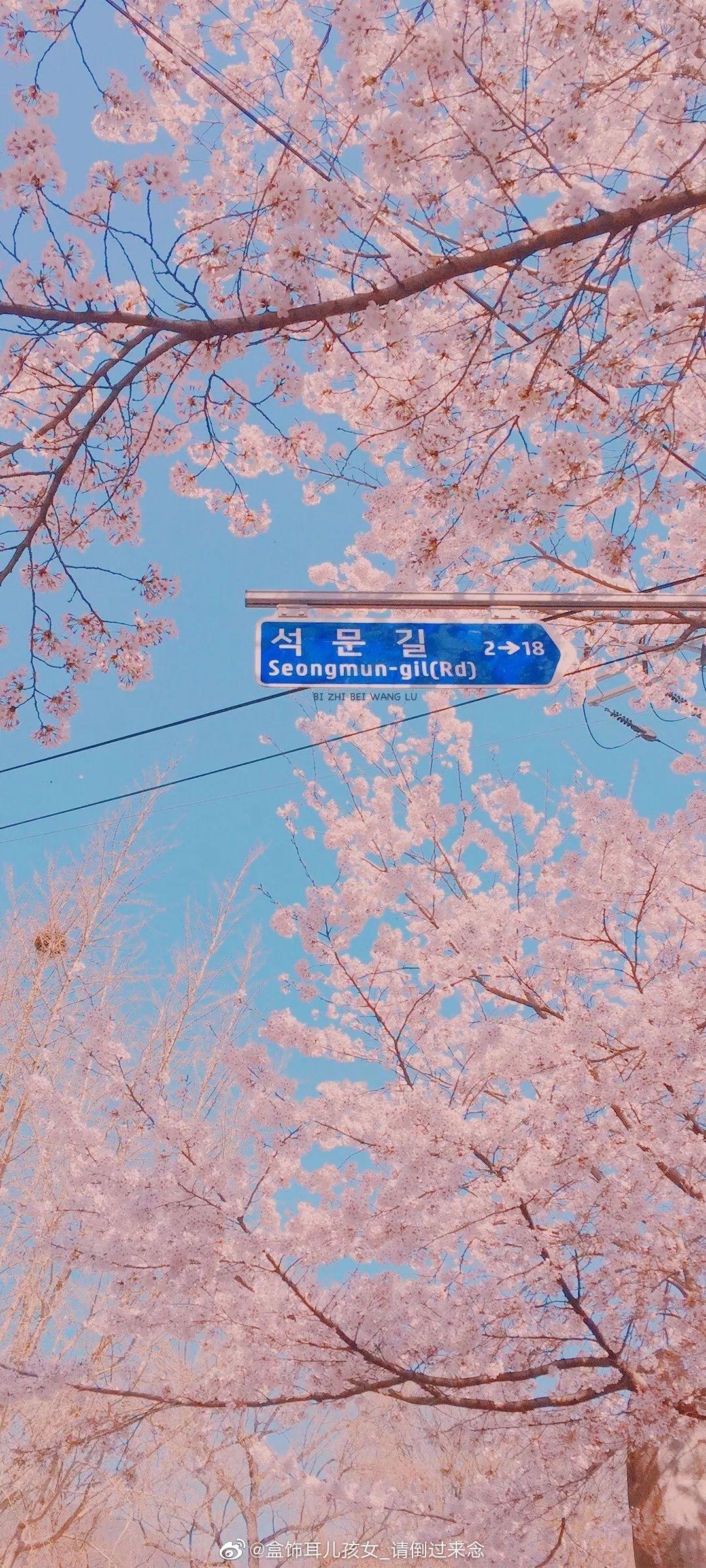 有没有ins风简约壁纸的类似于这种? - 知乎