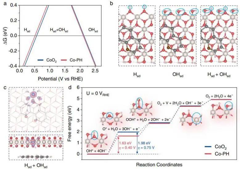 催化顶刊集锦：Nature子刊、JACS、Angew.、AM、AFM、Adv. Sci.、ACS Catal.等 - 知乎