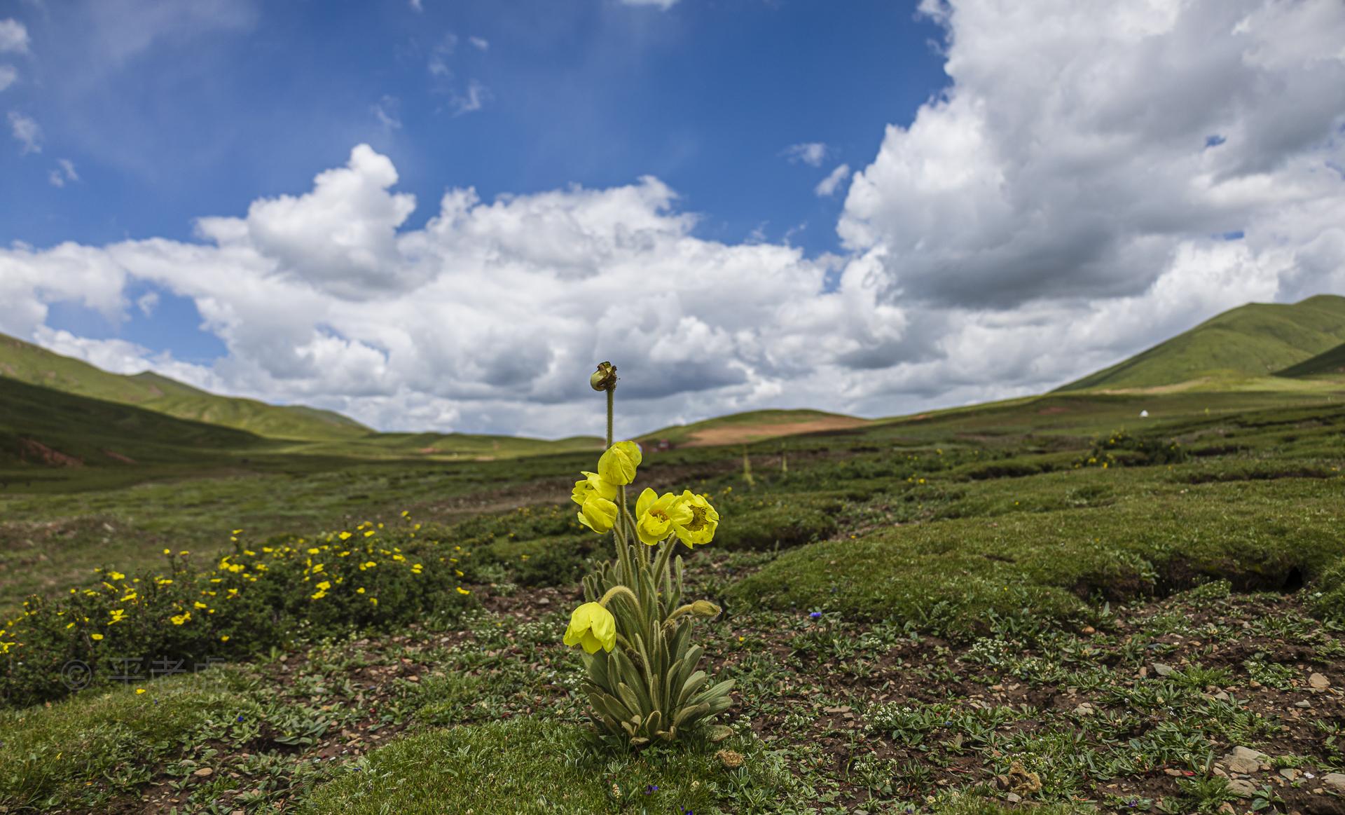 佳能rp升级r8是否值得？ - 知乎