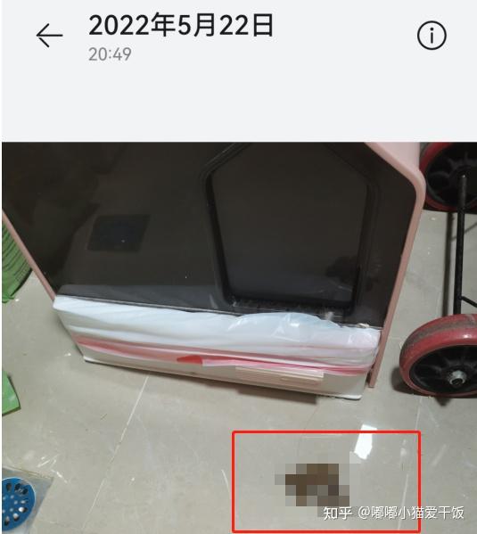猫咪突然乱拉屎怎么办？ 知乎 0766