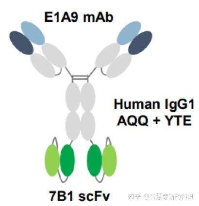 PD-1多靶点药物研发进展一览 - 知乎