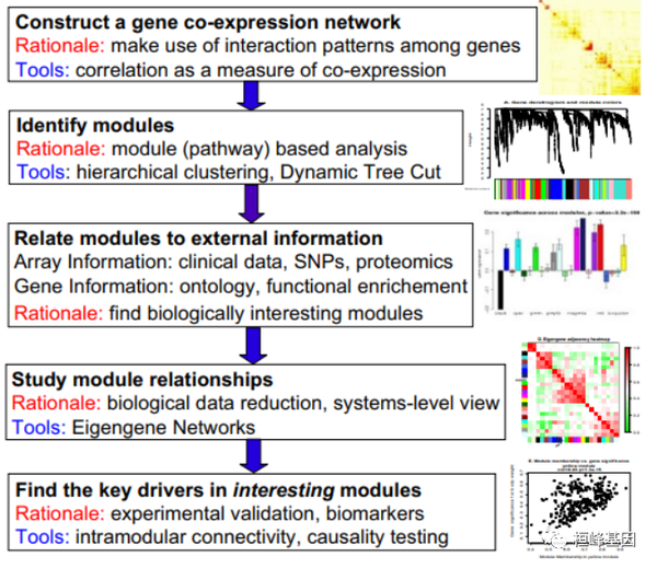 RNA 13. SCI 文章中加权基因共表达网络分析之 WGCNA - 知乎