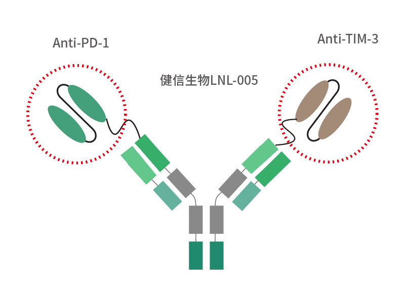 TIM-3靶点科普_机制原理&研究进展 - 知乎