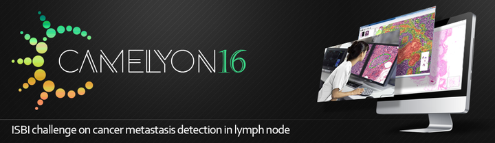Camelyon16学习记录(1)：这个比赛究竟是啥？ - 知乎