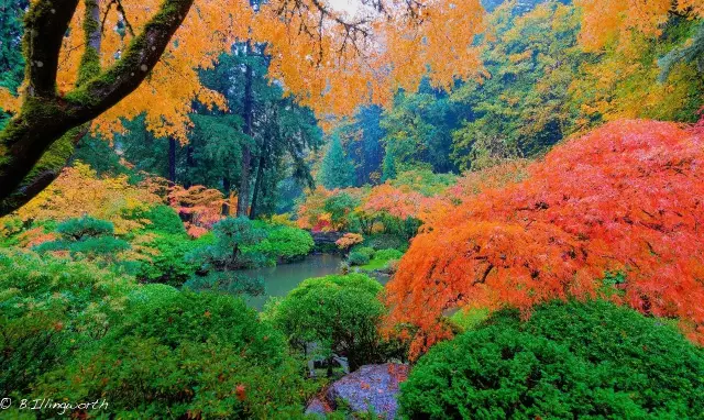 Landscape City 景观城市｜Portland 波特兰 - 知乎