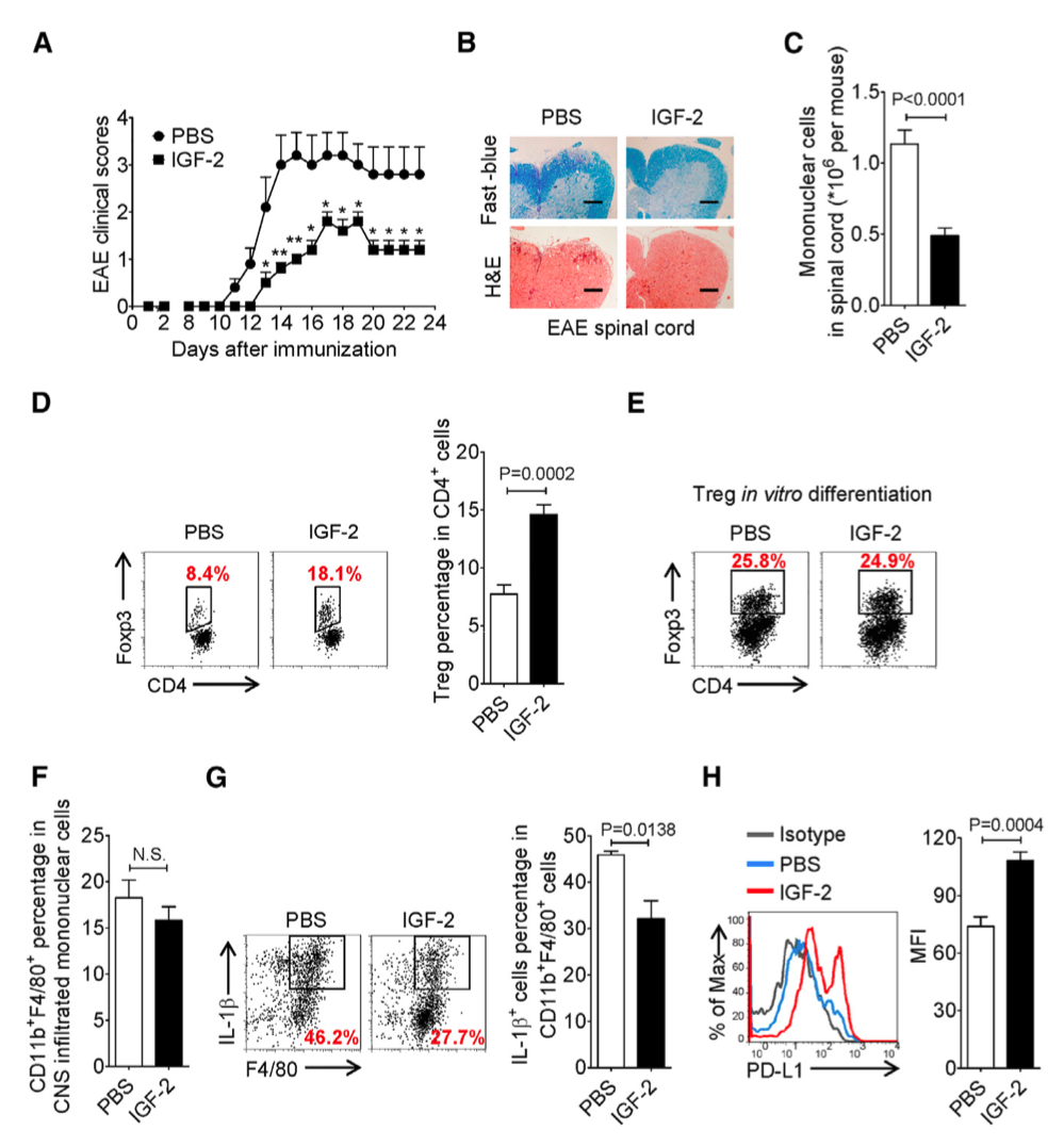 Immunity丨IGF-2处理使巨噬细胞代谢重编程从而发挥抗炎作用 - 知乎