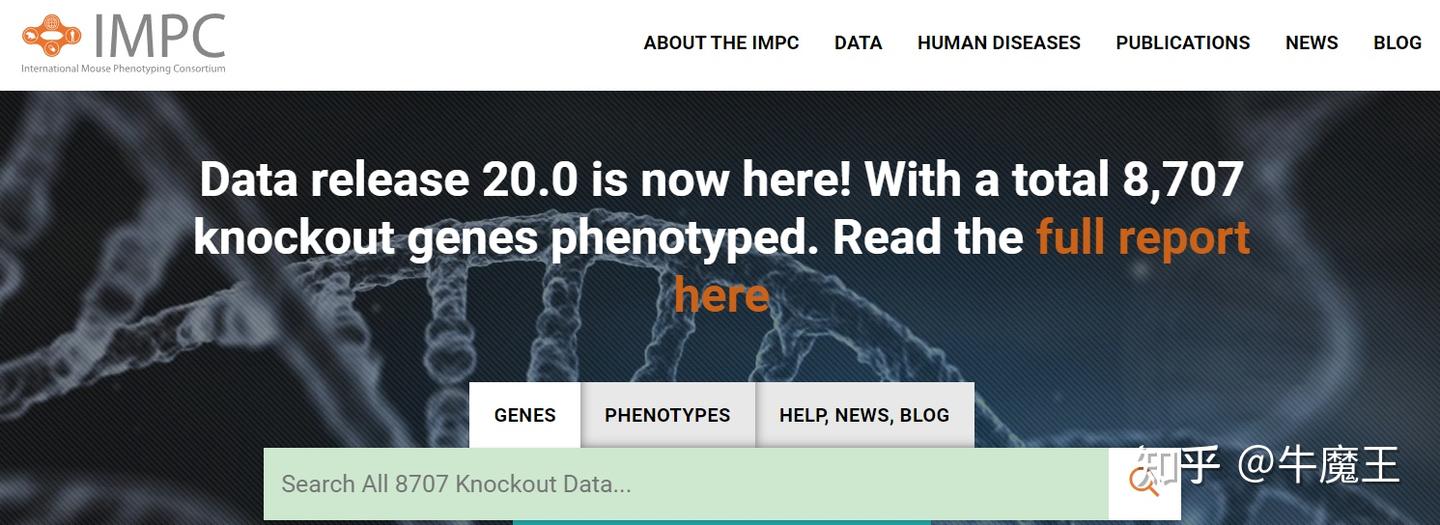 模式生物-小鼠-IMPC - 知乎