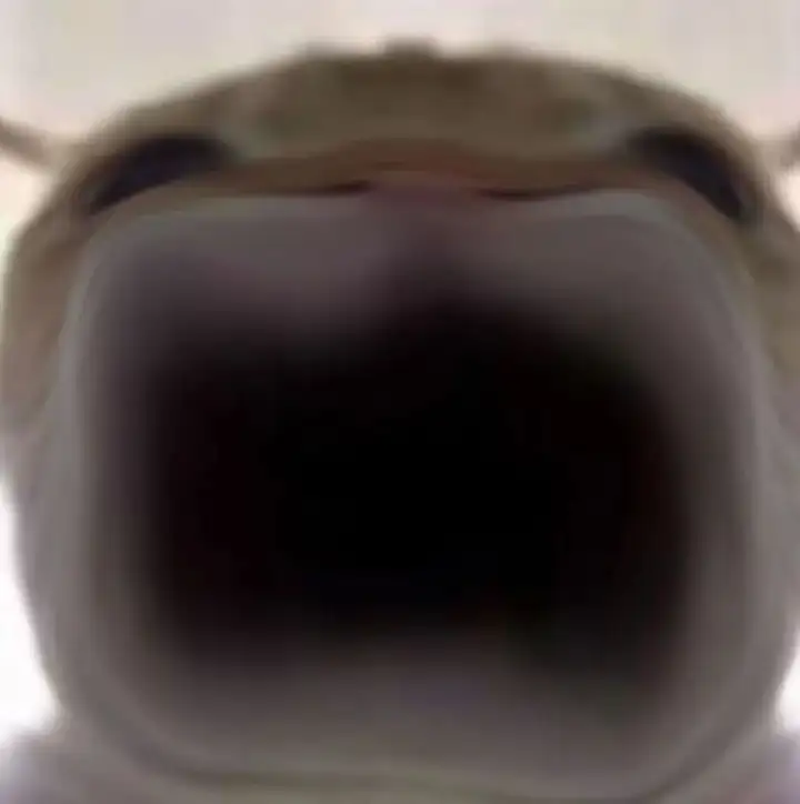 Codeforces Round 1027 (Div. 3) - 知乎