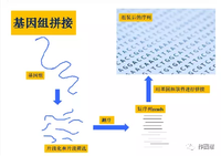 PP-DocBee：百度飞桨多模态文档解析神器，中文场景SOTA准确率一键提取表格图表 - 知乎