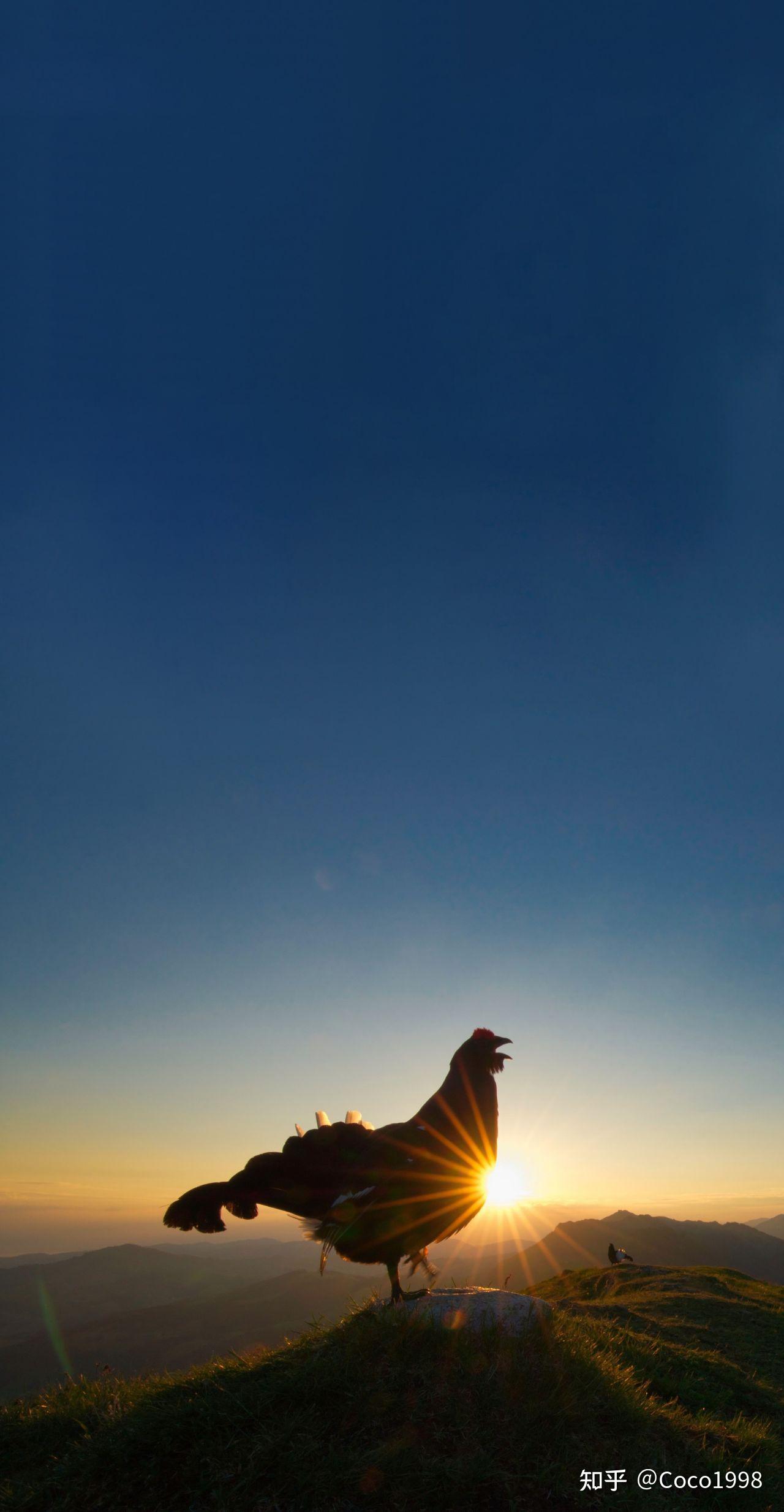 4K全面屏手机壁纸大全 持续更新～ - 知乎