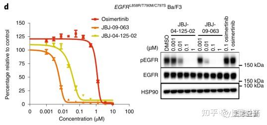 《爱求索》之靶点探索篇——靶向治疗中EGFR靶点分析和研究进展 - 知乎
