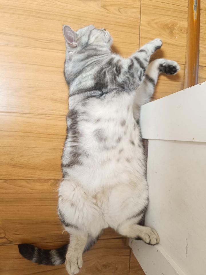 我用deepseek实现text2sql（clientServer端） - 知乎