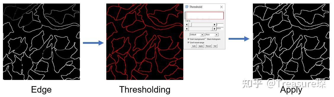 ImageJ实用教程——基于cellpose的不规则细胞分割（案例分析篇） - 知乎