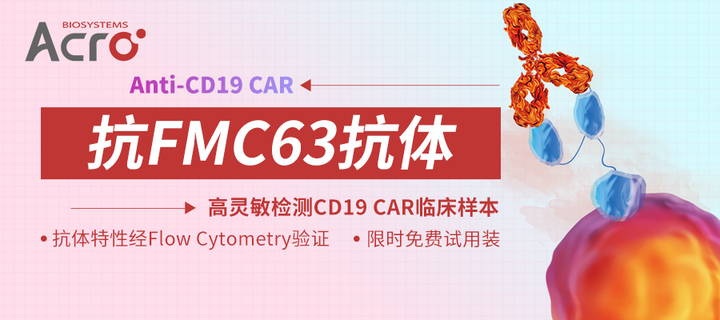 抗FMC63抗体—赋能CD19 CAR细胞药物PK研究 - 知乎