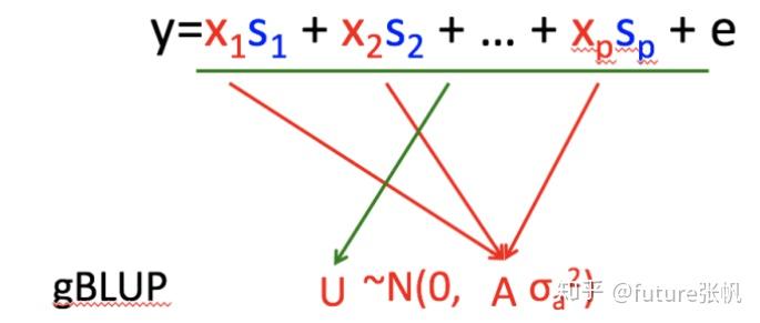 利用GAPIT进行gwas和gs分析（附带方法介绍） - 知乎