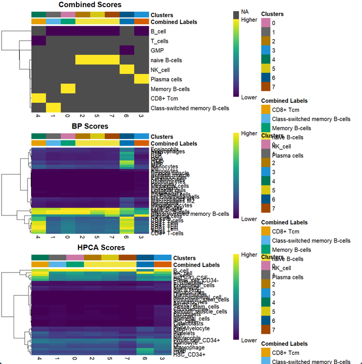 celldex数据库及singleR自动注释使用 - 知乎
