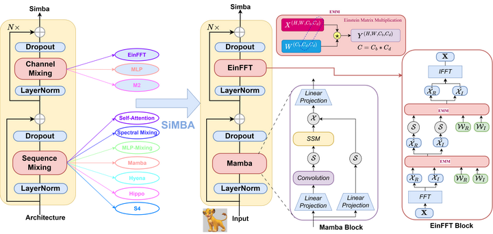论文笔记41：Simba：基于mamba的简化视觉和多元时间序列架构 - 知乎