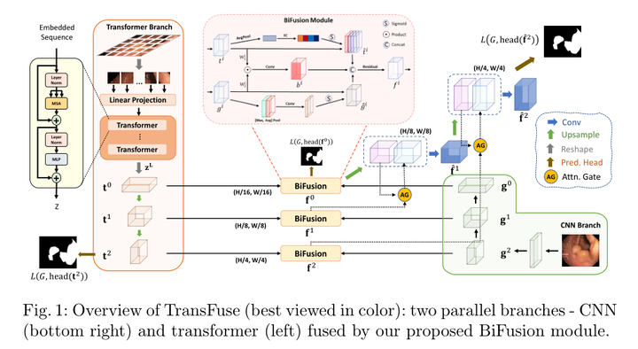 学习 TransFuse: Fusing Transformers and CNNs for Medical Image ... 学习 TransFuse: Fusing Transformers and CNNs for Medical Image ...
