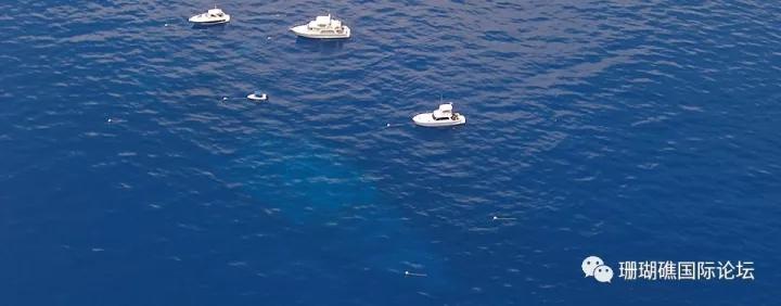 什么是人工渔礁？ - 知乎