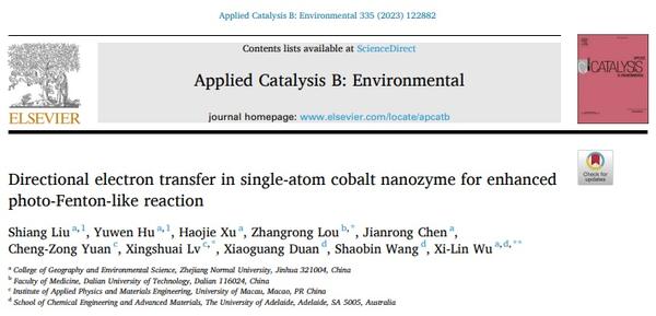 【Appl.Catal.B Environ】单原子钴纳米酶中的定向电子转移用于增强类光芬顿反应 - 知乎