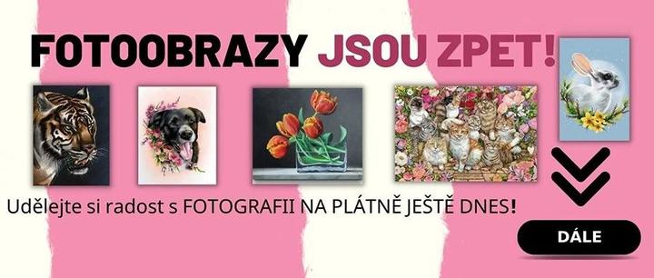 [23-21298] Sriplaw律所代理Rainbow Moon版权画起诉！已提出TRO！[23-cv-21298] - 知乎