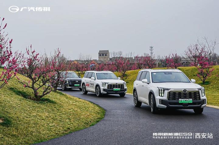 11 项升级带来超高性价比！传祺新能源ES9贺岁版焕新登场 - 知乎