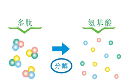 DOTA-PEG-serine，DOTA-PEG-His， 大环配体DOTA-聚乙二醇-丝氨酸 - 知乎