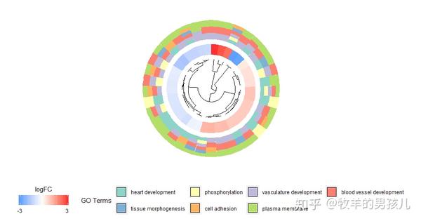 GO富集分析可视化：R语言GOplot包 - 知乎