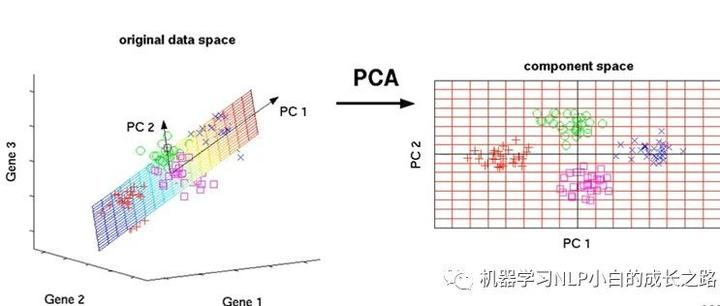 数据降维——PCA算法详解 - 知乎