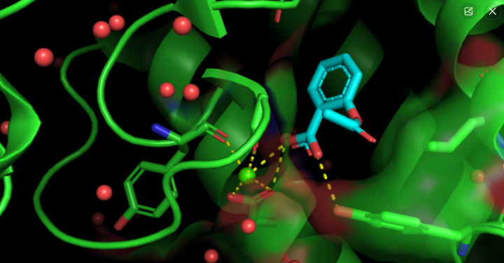 PyMOL2.5.7安装教程 - 知乎
