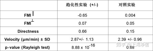 ibidi细胞趋化实验|可视化的Transwell细胞趋化实验原理+操作步骤 - 知乎