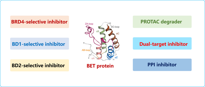 靶向BET蛋白的药物发现——研究进展及新技术 - 知乎
