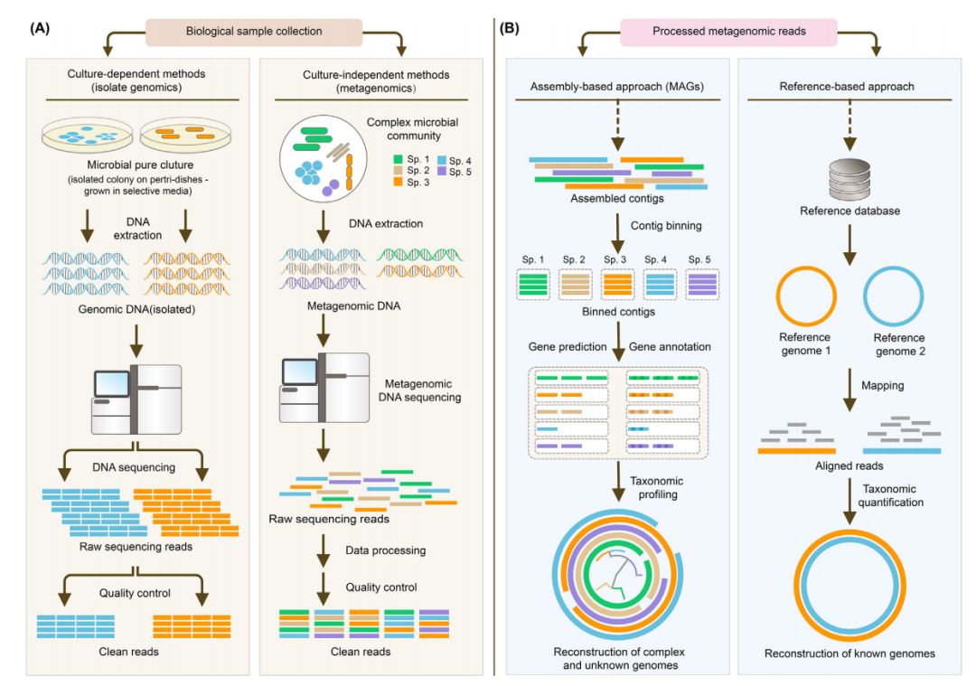 来来来，一起来pick宏基因组binning分析工具 - 知乎